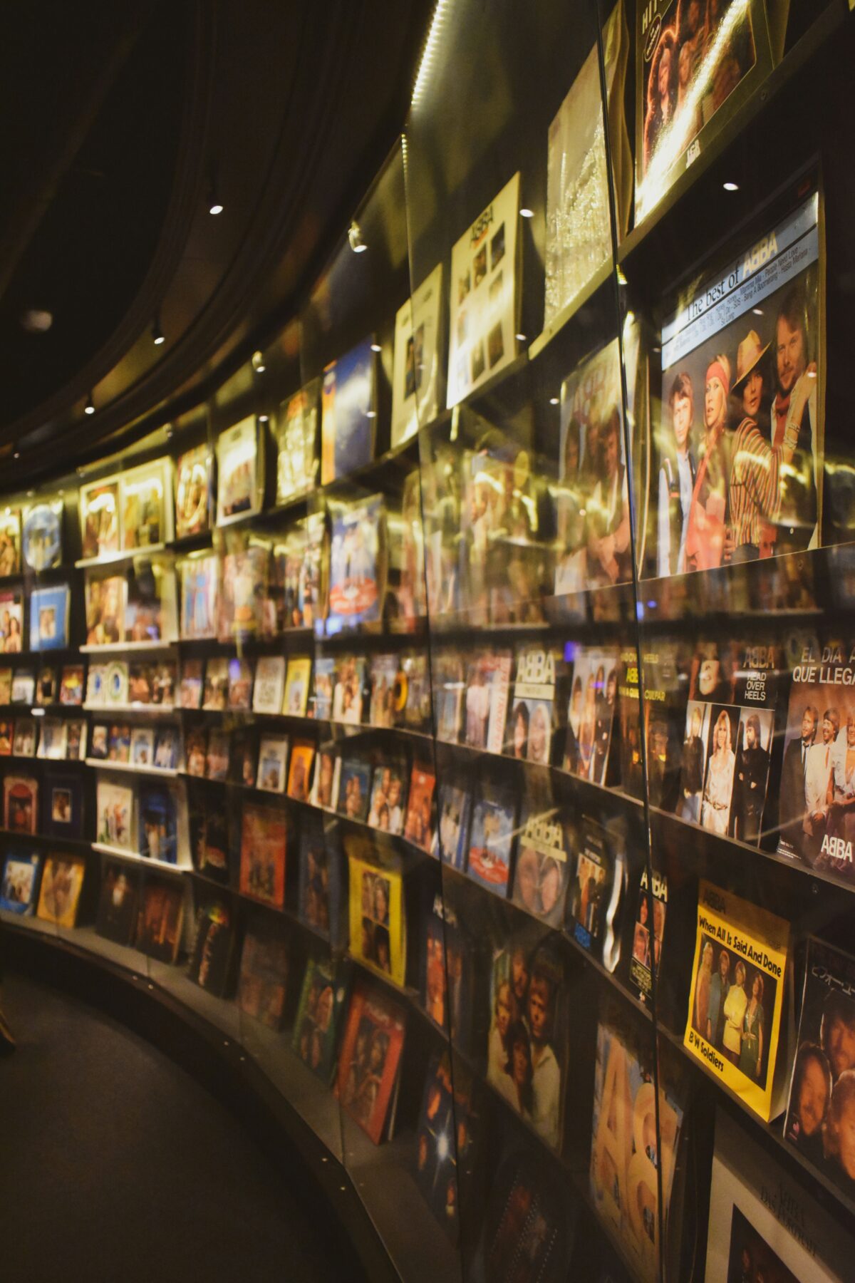 How to Organize Your Media with Bunkr Albums - Frobot Studios