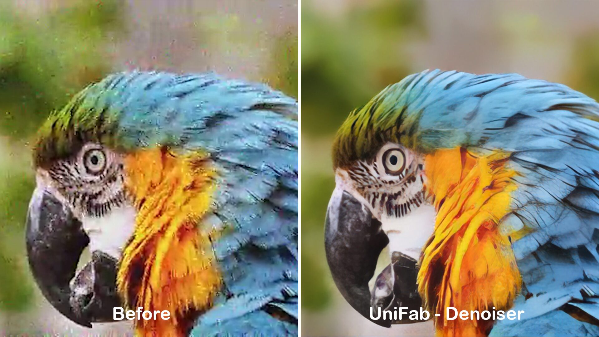 Master AI Video Denoising: Achieve Crystal Clear Videos with Noise ...